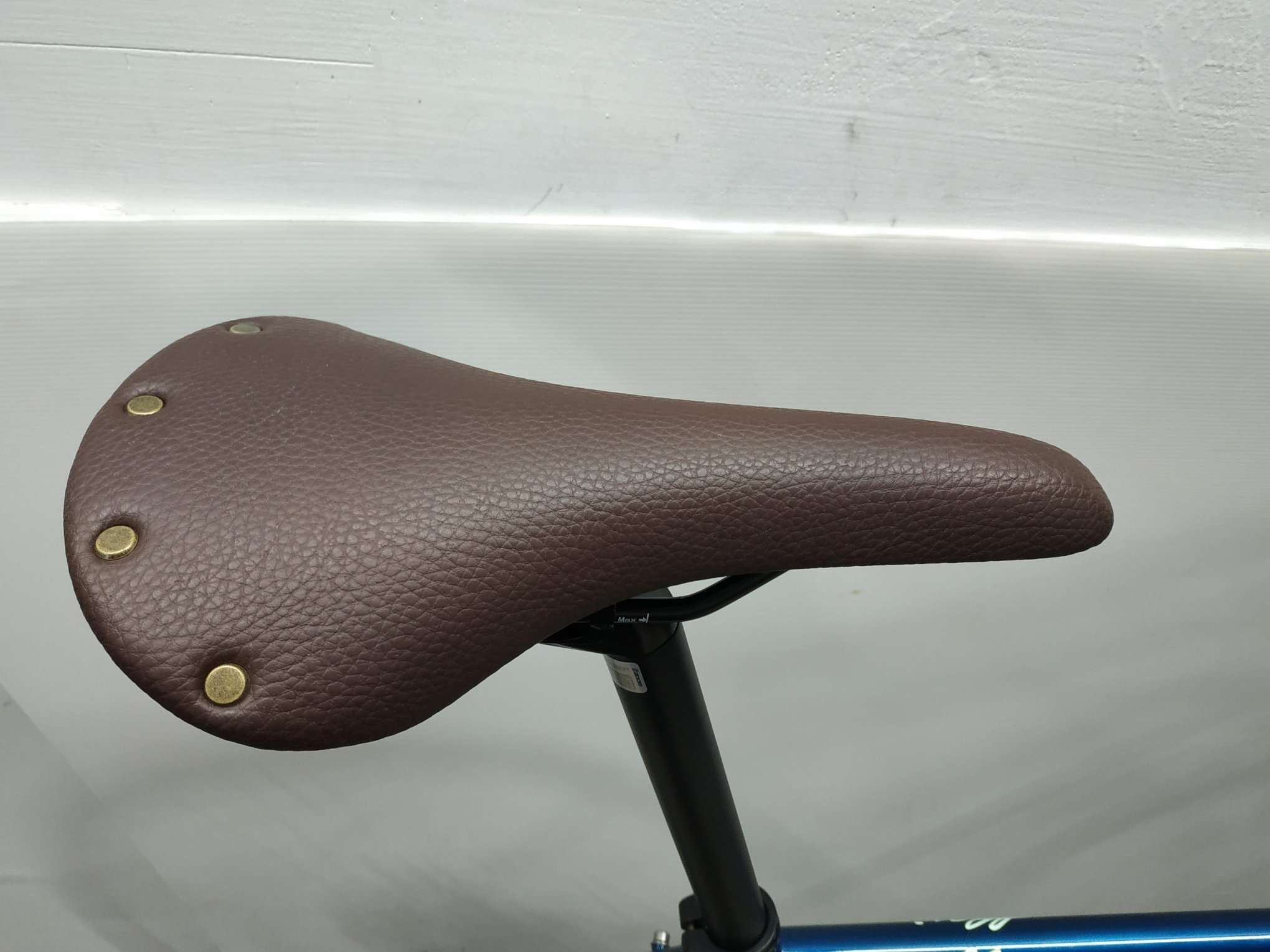 catalina apex sample | masibike.com